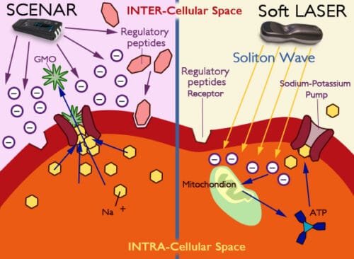 How SCENAR and COSMODIC “DOSE” | COSMODIC® ENS®